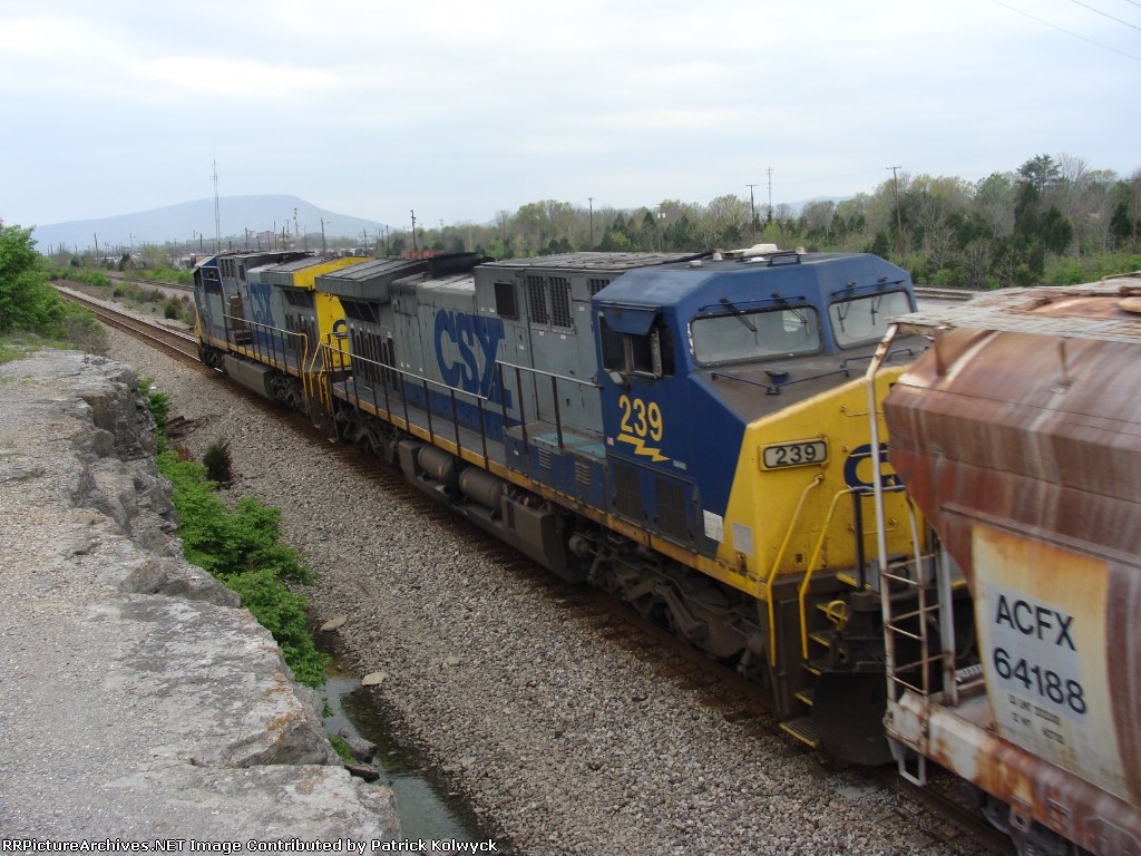 CSX 239